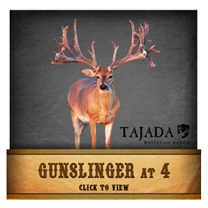Tajada Whitetail Ranch - Premier Texas Whitetail Deer Breeding