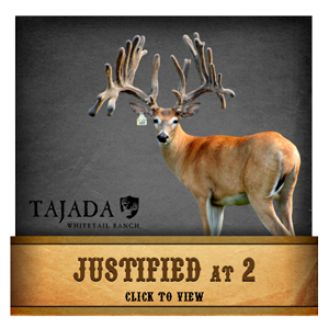Tajada Whitetail Ranch - Premier Texas Whitetail Deer Breeding